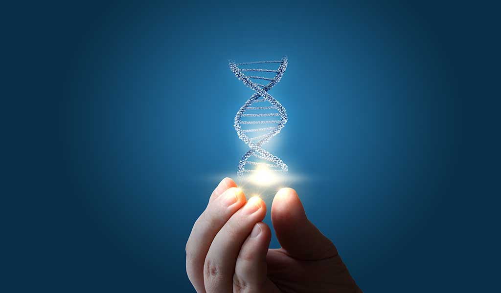 Bioéthique : une vidéo à voir et à partager - Diocèse de Versailles